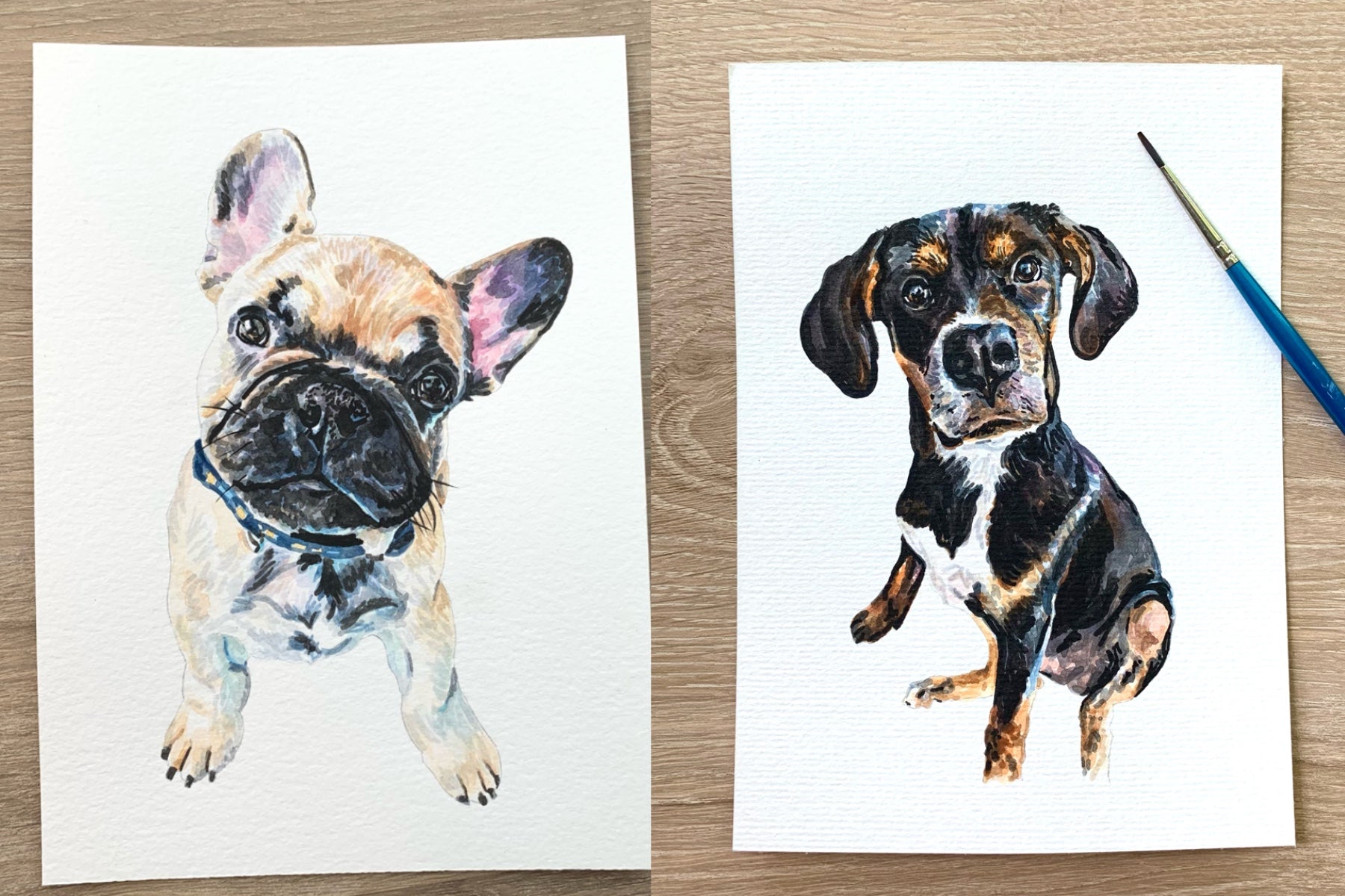 Abs Paint Co. – abspaintco